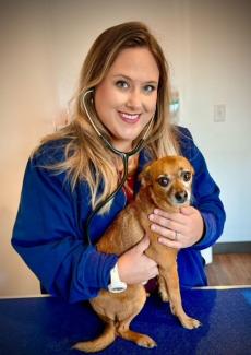 Fairmont Veterinary Hospital : Top Rated Fairmont Veterinarians